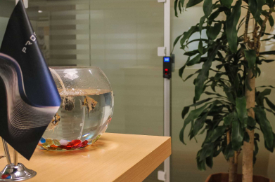 Prosol | Azerbaijan Technology Power House